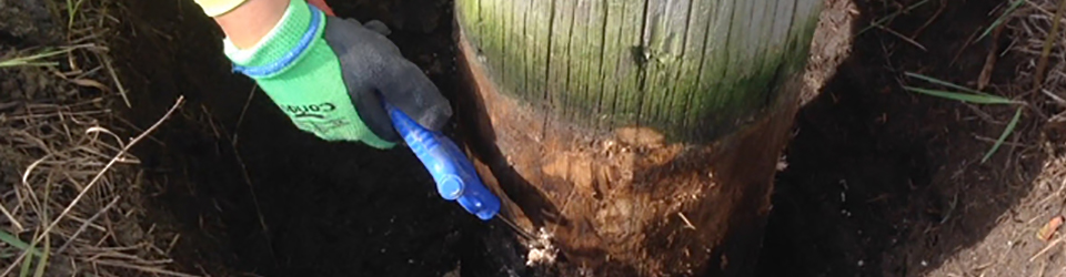 Wood Pole Maintenance Program
