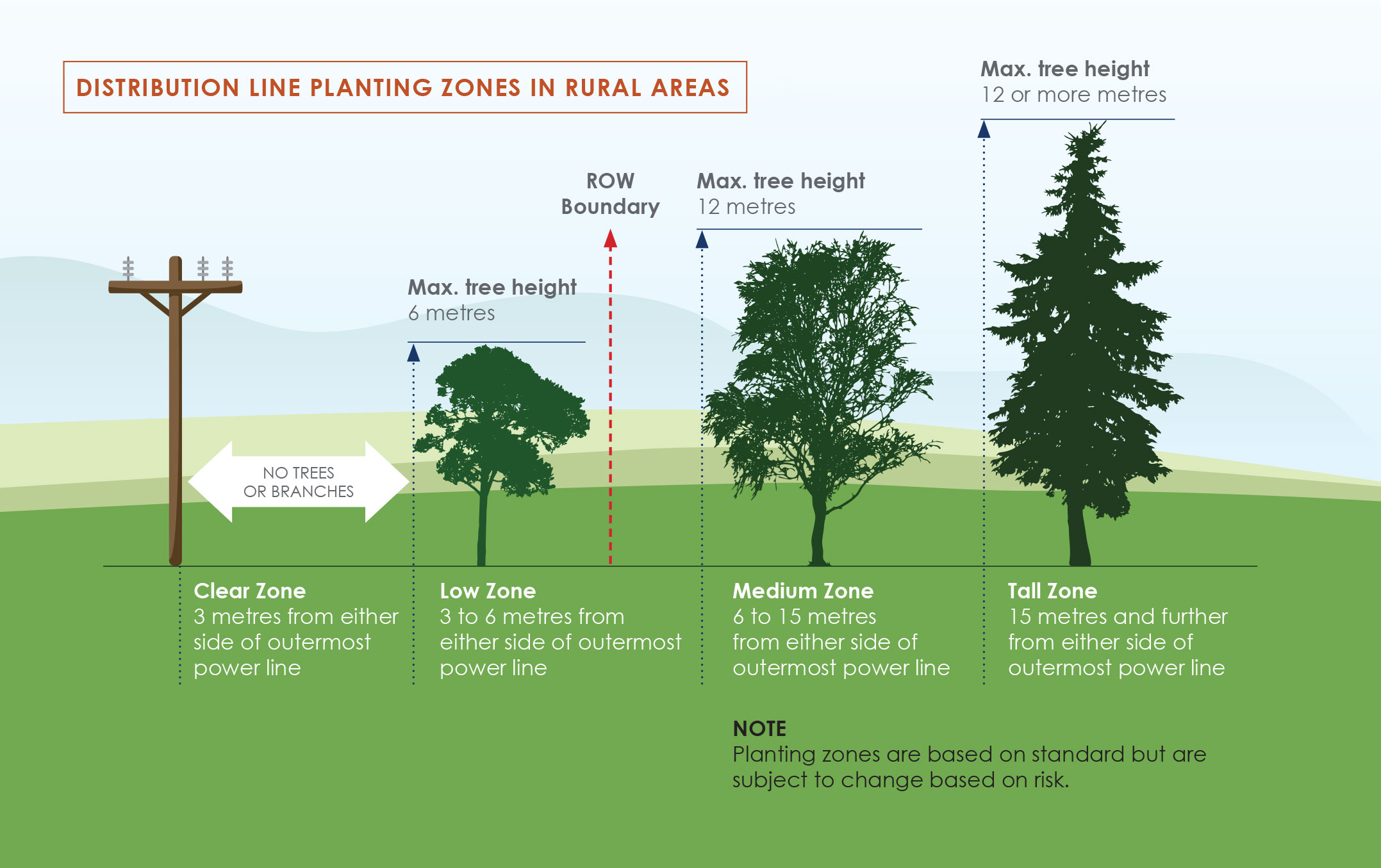 Trees and Power Line Safety